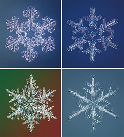 Individual Colorful Snowflakes