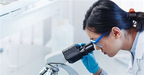 지씨씨엘 “fda 가이던스 충족하는 임상시험 검체 분석”