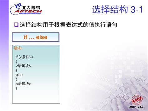 目标 流程控制 字符串处理 C 的类和对象 C 访问修饰符 C 构造函数和析构函数 Ppt Download