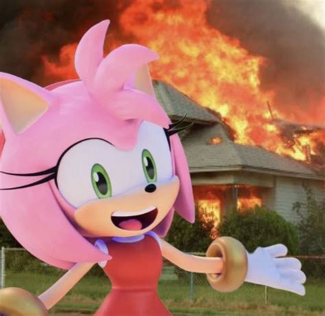 Shadow Amy Rose Artofit