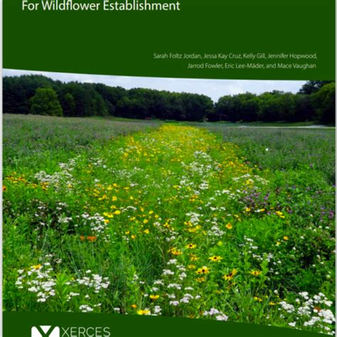 Best Management Practices Rights Of Way As Habitat Working Group