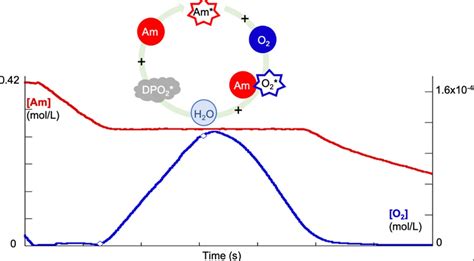 Modeling Of An Oxygen Threshold In Polymerization Reactions