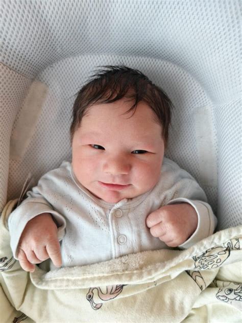 Welkom Jules Een Nieuwe Hel Thrower In Wording Hel Throwers