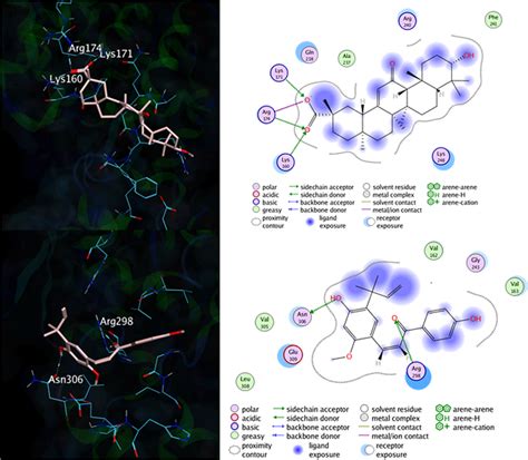 The 3d Left And 2d Right Molecular Interaction Between Rna Binding