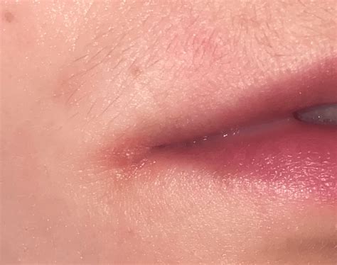 Reddit The Heart Of The Internet