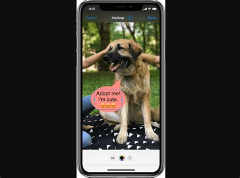 How To Use Markup Color Tools In Ios 14 And Ipados 14