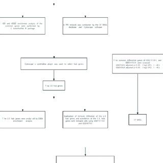 Research Design Flow Chart Download Scientific Diagram