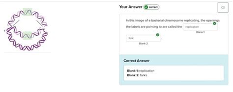 CH 7 HW Flashcards Quizlet CH 7 HW Flashcards Quizlet
