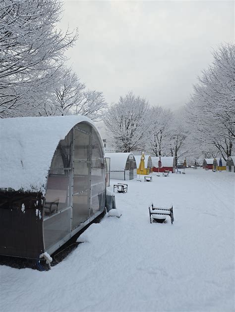 겨울 동계 설중 캠핑 글램핑