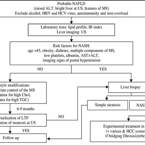 NAFLD NASH Diagnostic Flow Chart Abbreviations NAFLD Non Alcoholic Download Scientific
