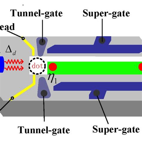 Schematic Plot Of A Qd White Circle Coupled To Mbss Red Circles Download Scientific