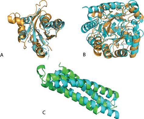 Covid 19 Drug Candidates Found By Targeting The Viral Protease Pharma