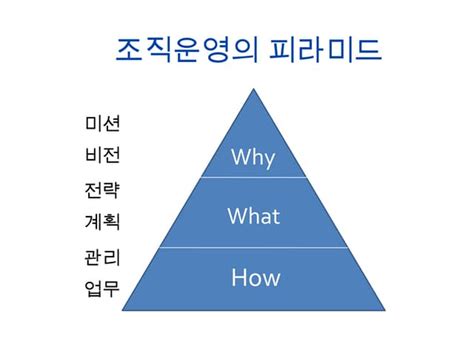 4 전략과 기회의창 Pptx