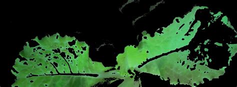 How To Measure The Size Of Object OpenCV Q A Forum