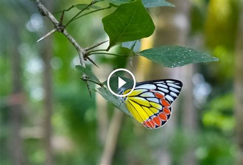 Comparing Image Anonymization Techniques Striking A Balance Between Privacy And Computer Vision