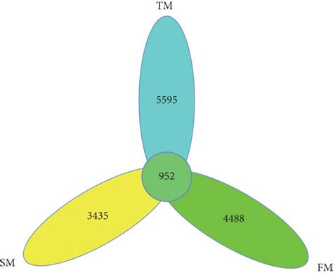 overall description of sequencing data a sequence length analysis