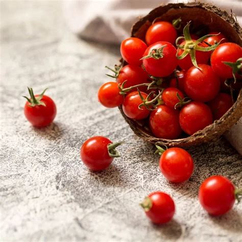 A Grade Red Cherry Tomato Packaging Type Loose At Rs 114 Kg In Navi