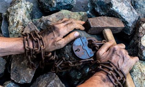 Sem Proposed Prohibition Of Products Made With Forced Labour From The Eu Market