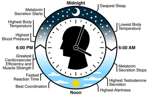 Every Day Is Special April 28 Biological Clock Day