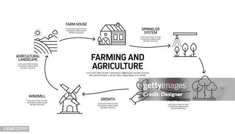 Farming And Agriculture Related Process Infographic Template Process Timeline Chart Workflow