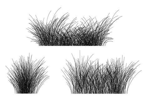 Grass Brush Vector Art Icons And Graphics For Free Download