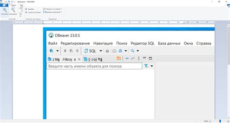 Unreadable Characters In The Name Of The Project Or Database · Issue