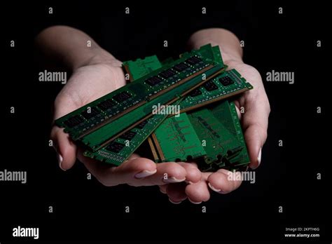 Female Hands Hold Memory Computer Card American Woman Wearing