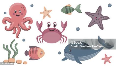 바다 주민의 일러스트 벡터 세트입니다 문어 물고기 조류 고래 불가사리 게 여름 사진 세트입니다 만화 귀여운 바다 영웅 게에 대한
