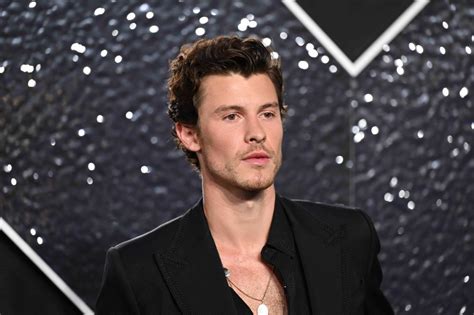 Shawn Mendes Shared The Real Truth About His Sexuality In A Vulnerable Speech