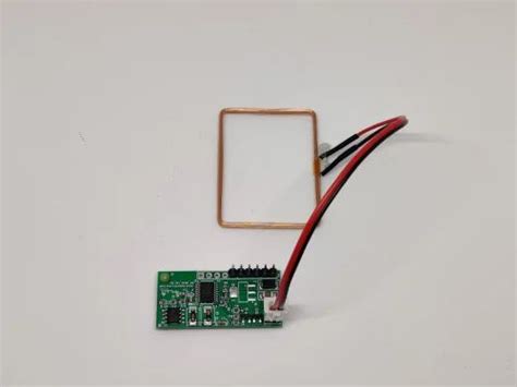 125kHZ RFID Based Reader Module With Antenna Model Name Number Rt Rfid 125 R1 At 500 Piece