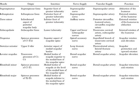 Table 1 From Scapulothoracic Bursitis And Snapping Scapula Syndrome Semantic Scholar