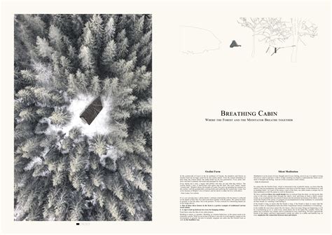 Architecture Project Tree Bark Roof And Timber Walls In A Mindful