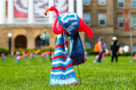 Bascom Flamingos Don Soccer Scarves Uwmadison News