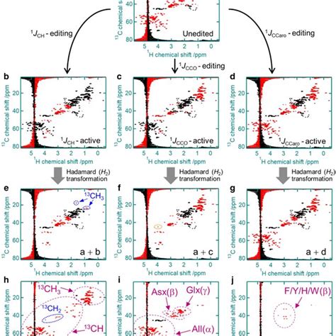 A−d 2d Ct ¹³c−¹h Hsqc Sub Spectra Of ¹³c Enriched Ubiquitin Collected Download Scientific