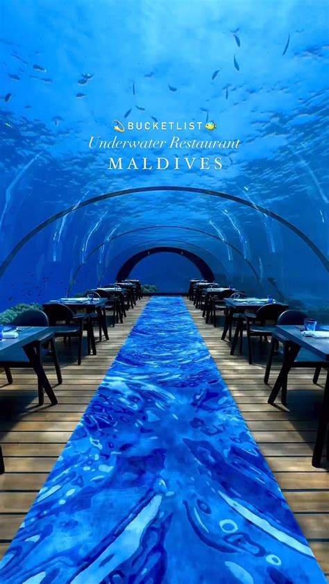 We Stayed In One Of The Coolest Underwater Rooms In The Maldives Artofit