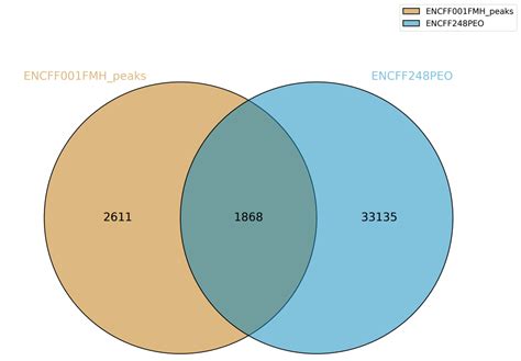 github missaline hse hw2 chip