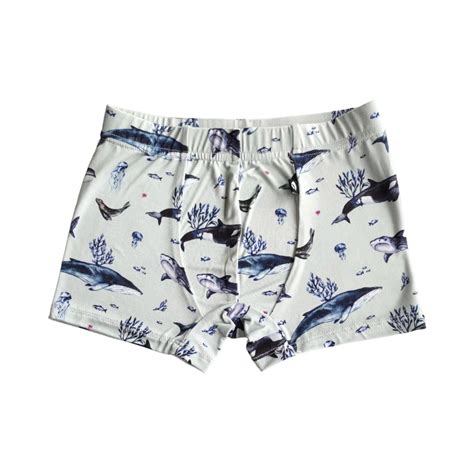 Boy Underwear Biwintex