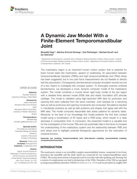 Pdf A Dynamic Jaw Model With A Finite Element Temporomandibular Joint
