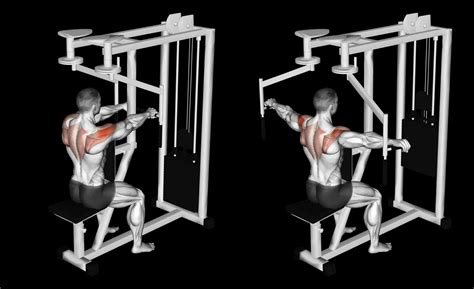 Machine Reverse Fly Guide Muscles Worked Tips Athlemove