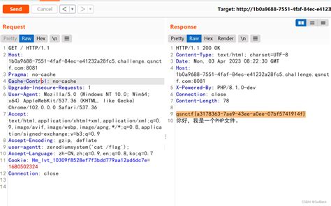 青少年ctf训练平台 Web 部分wp Csdn博客