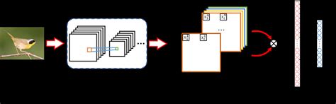 The Architecture Of Bilinear Cnn X Is The High Order Features Download Scientific Diagram