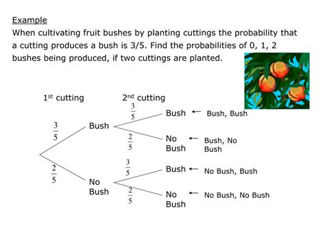 PPT Probability Tree Diagrams PowerPoint Presentation Free Download ID 3032339