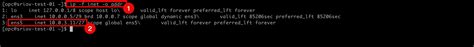 Assign An Ip Address To A Second Interface On An Oracle Linux Instance