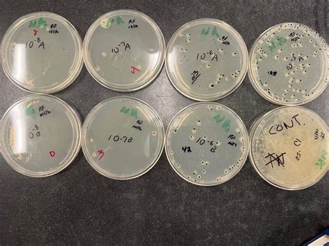 Solved Activity 3 Please Complete Table 2 Based On Your