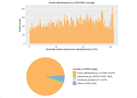 The Metagenomic Next Generation Sequencing Mngs Results Of Pathogen