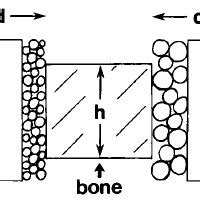 Particle Size Comparison Download Scientific Diagram