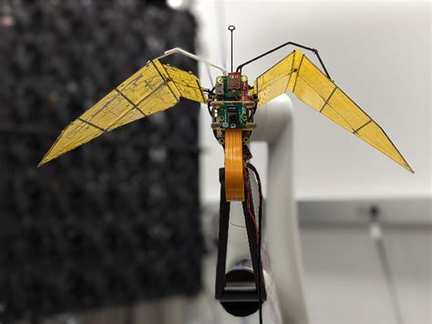 Pdf Wake Based Locomotion Gait Design For Aerobat Semantic Scholar