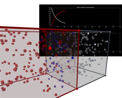 Biophysical Modeling The Interactive Commons