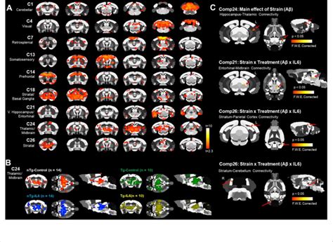 Ica Of Resting State Fmri Reveals Significant Effects Of Aβ And Il6 On Download Scientific