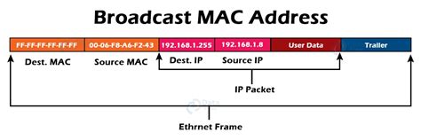 Mac Addresses Explained With Examples 55 Off Mac Addresses Explained With Examples 55 Off